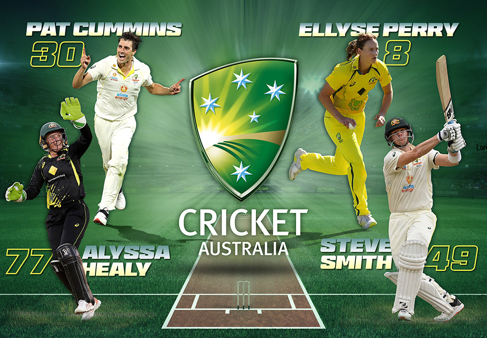 Funbox - Made of Cricket 1000 Piece Jigsaw Puzzle – Premium Puzzles ...